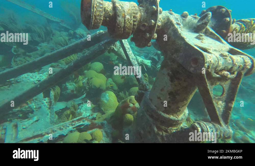 Coral fishes wreck Stock Videos & Footage - HD and 4K Video Clips - Alamy