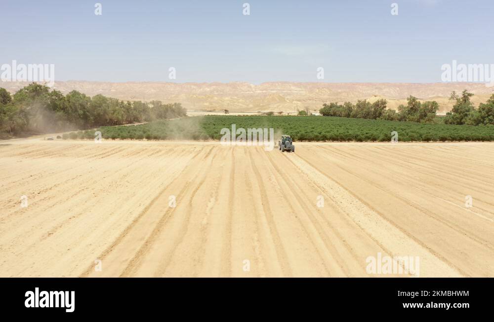 Tractor harvesting wheat in farmland out at the country. An agriculture ...