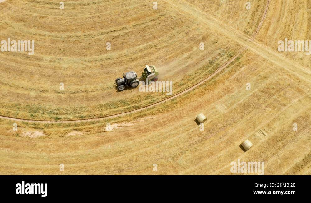 Tractor harvesting wheat in farmland out at the country. An agriculture ...