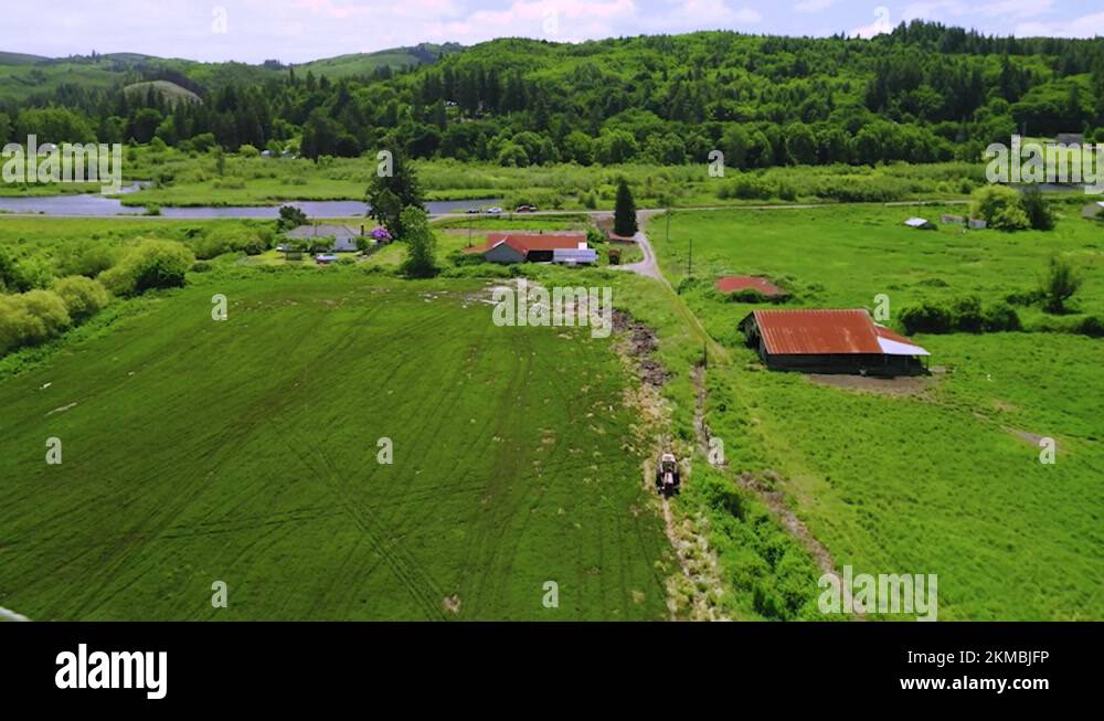 Field mint Stock Videos & Footage - HD and 4K Video Clips - Alamy