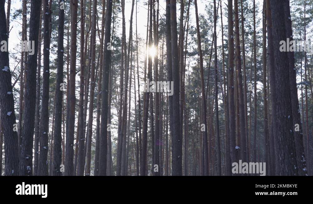 Soft light rays Stock Videos & Footage - HD and 4K Video Clips - Alamy