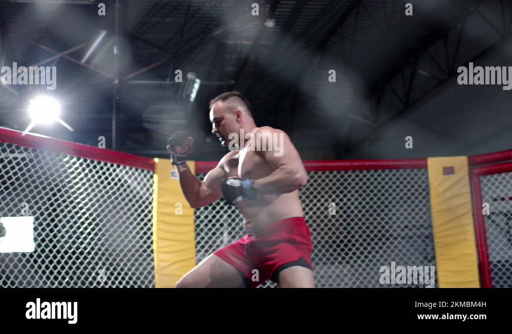 Muscular MMA fighter is practising in the octagon cage. Shadow boxing ...