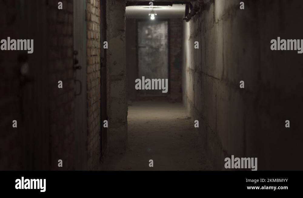 Empty scary dark hallway, cellar with concrete, brick walls with closed ...