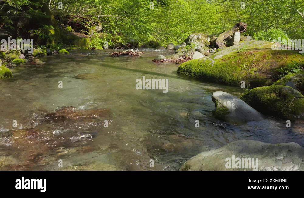 Pure Mountain Water River Flowing Through Daisen, Tottori Japan Stock ...