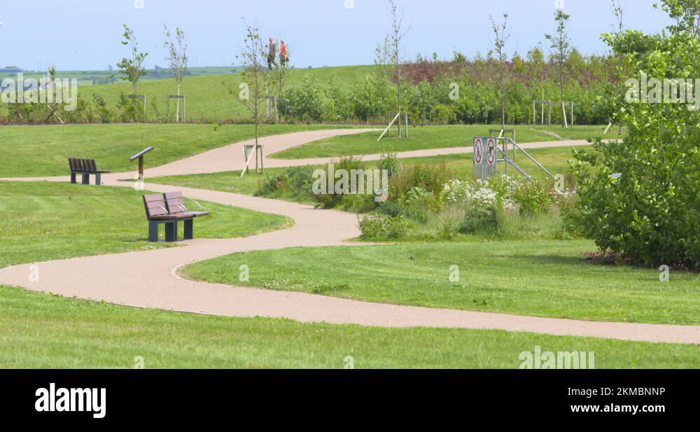 Sunny public park space walking path green grass trees bench outdoors ...