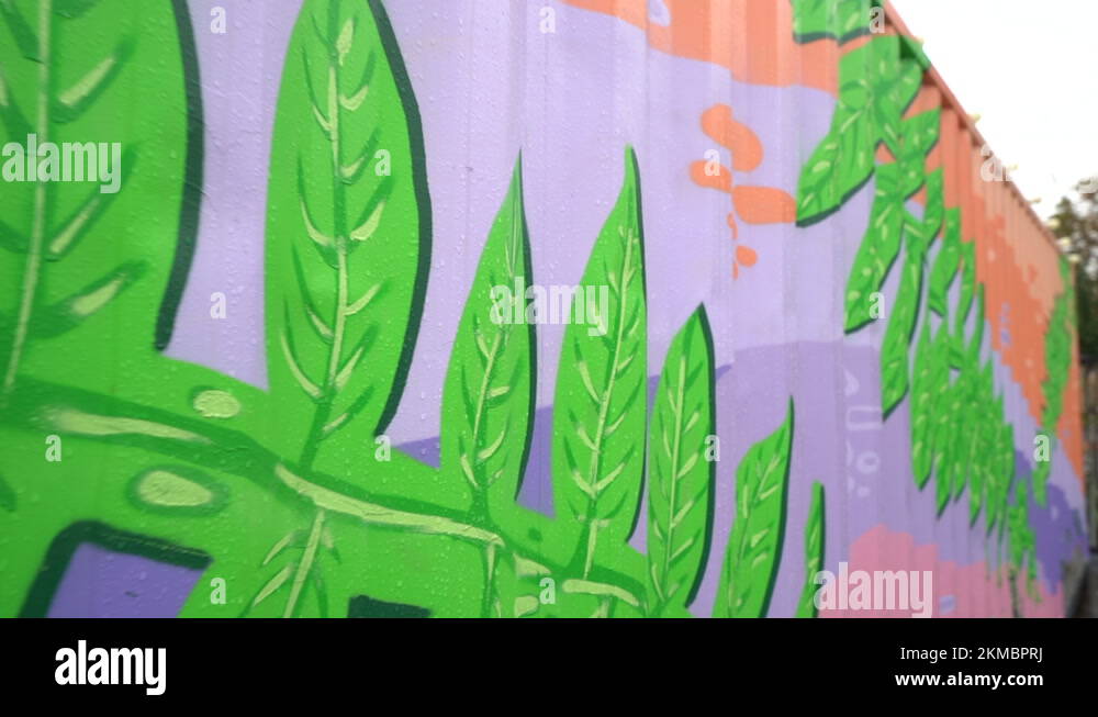 Wall graffiti street art plants Stock Videos & Footage - HD and 4K ...