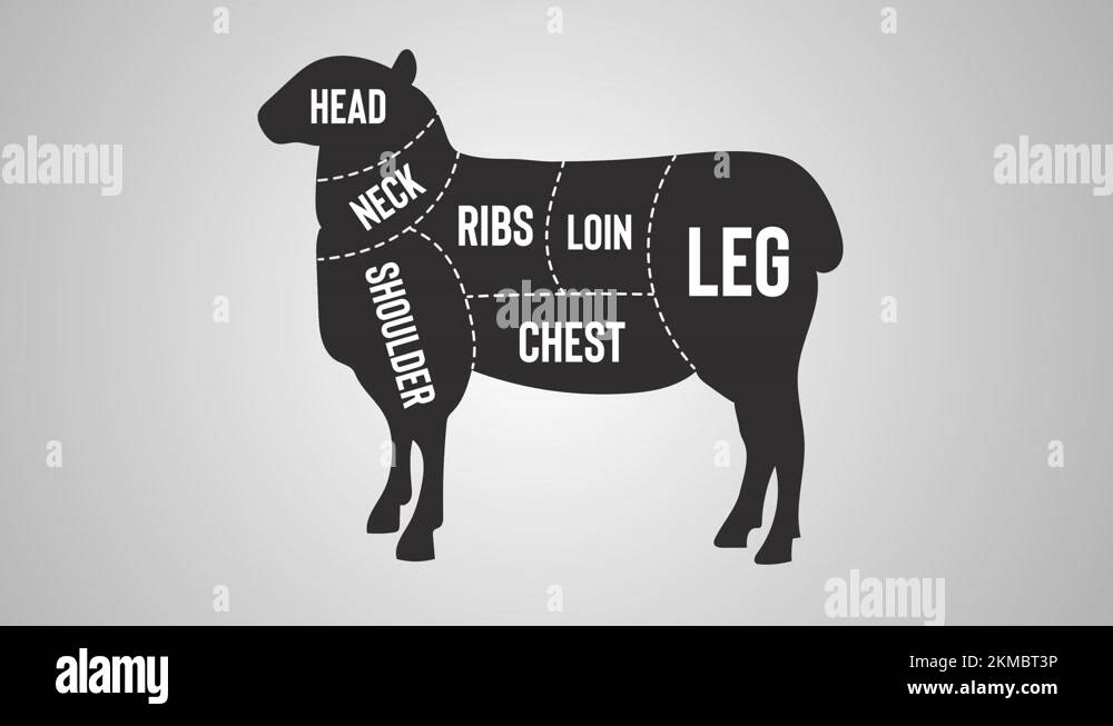 Lamb cuts chart Stock Videos & Footage - HD and 4K Video Clips - Alamy