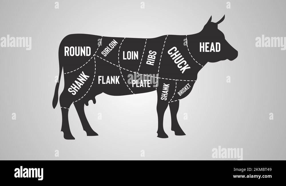Beef cut chart Stock Videos & Footage - HD and 4K Video Clips - Alamy