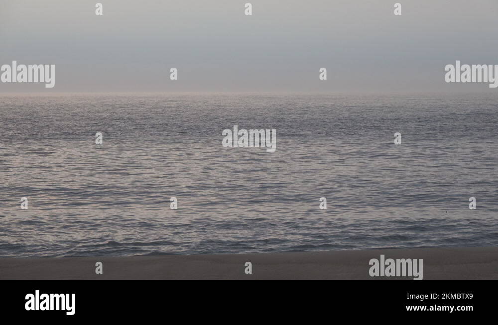 Swimming offshore Stock Videos & Footage - HD and 4K Video Clips - Alamy