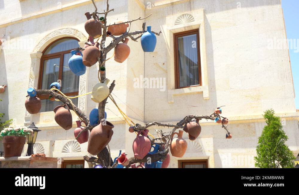 Tree clay pots Stock Videos & Footage - HD and 4K Video Clips - Alamy