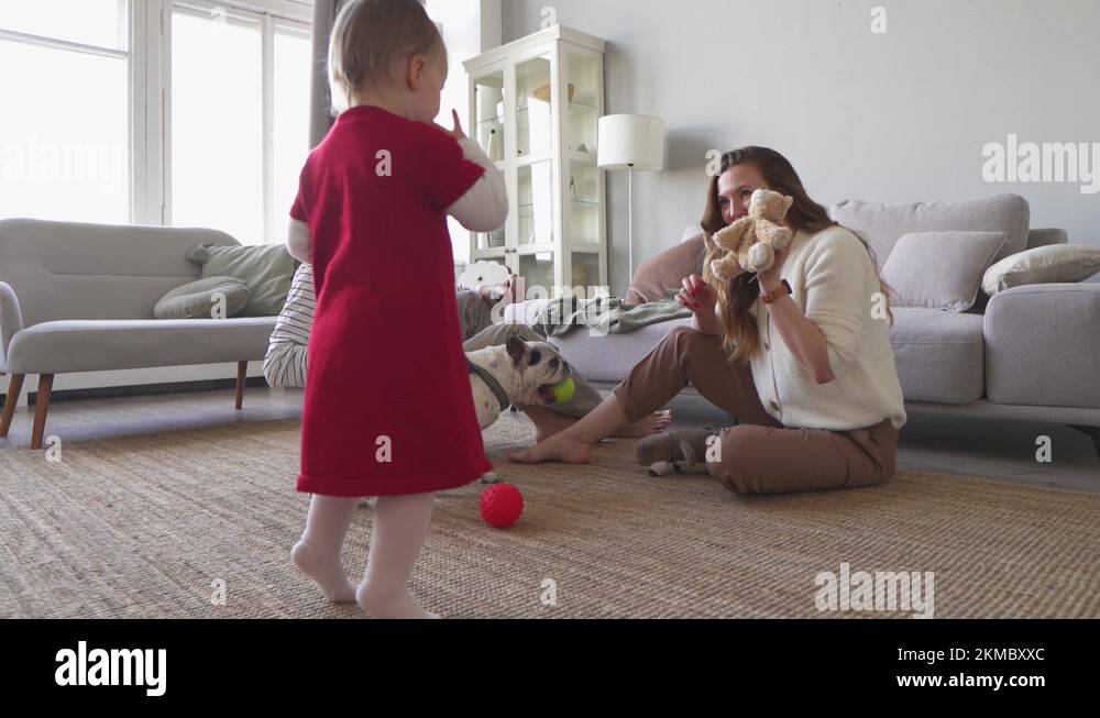 Lady and a little dog Stock Videos & Footage - HD and 4K Video Clips ...