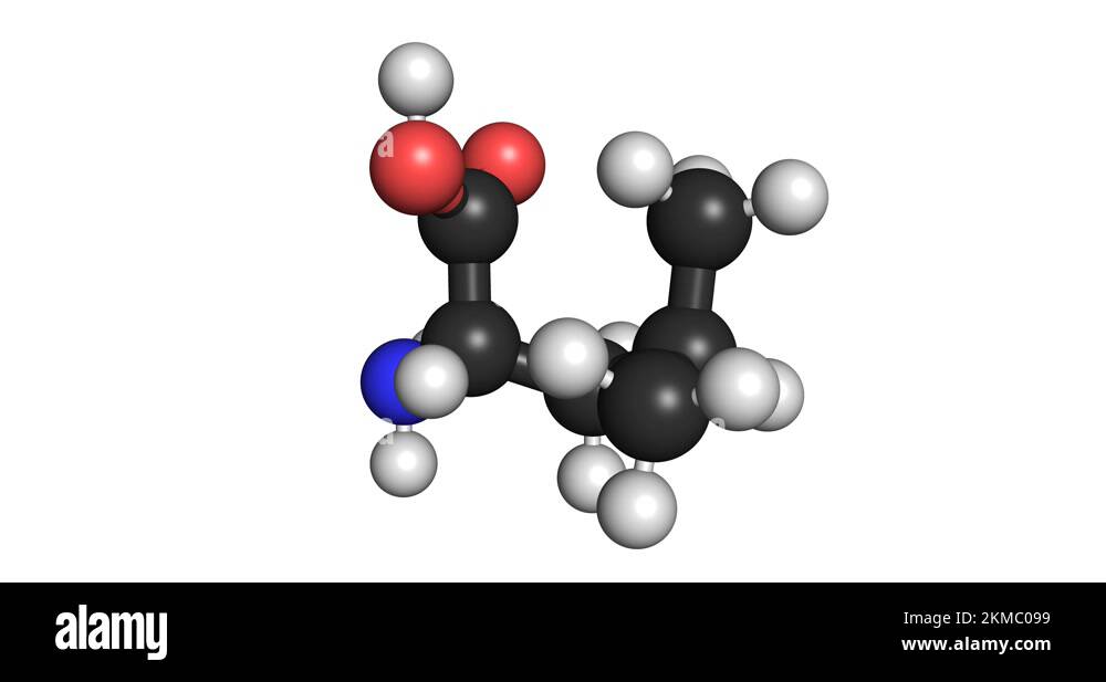 L-Leucine amino acid bcaa molecule 3D render chemical structure 4K ...