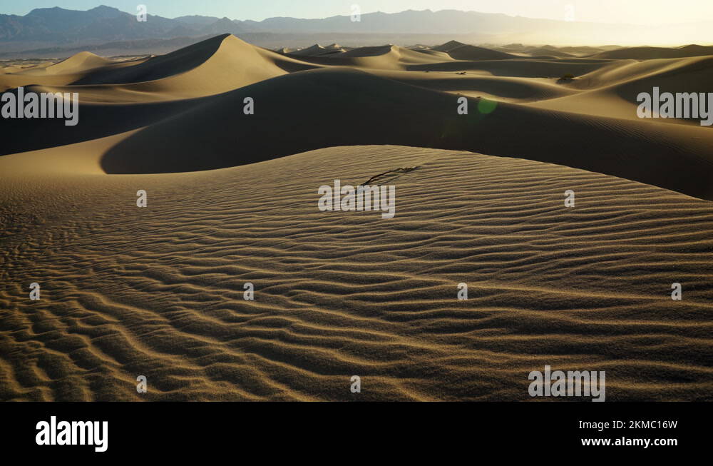 Sand lens flare Stock Videos & Footage - HD and 4K Video Clips - Alamy