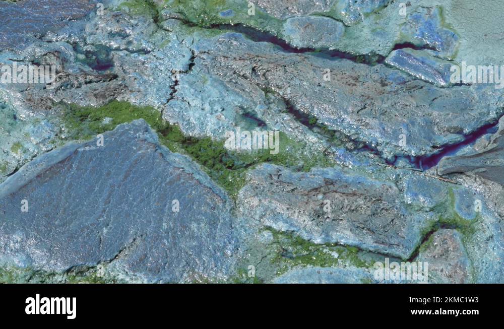 Algae mats Stock Videos & Footage - HD and 4K Video Clips - Alamy