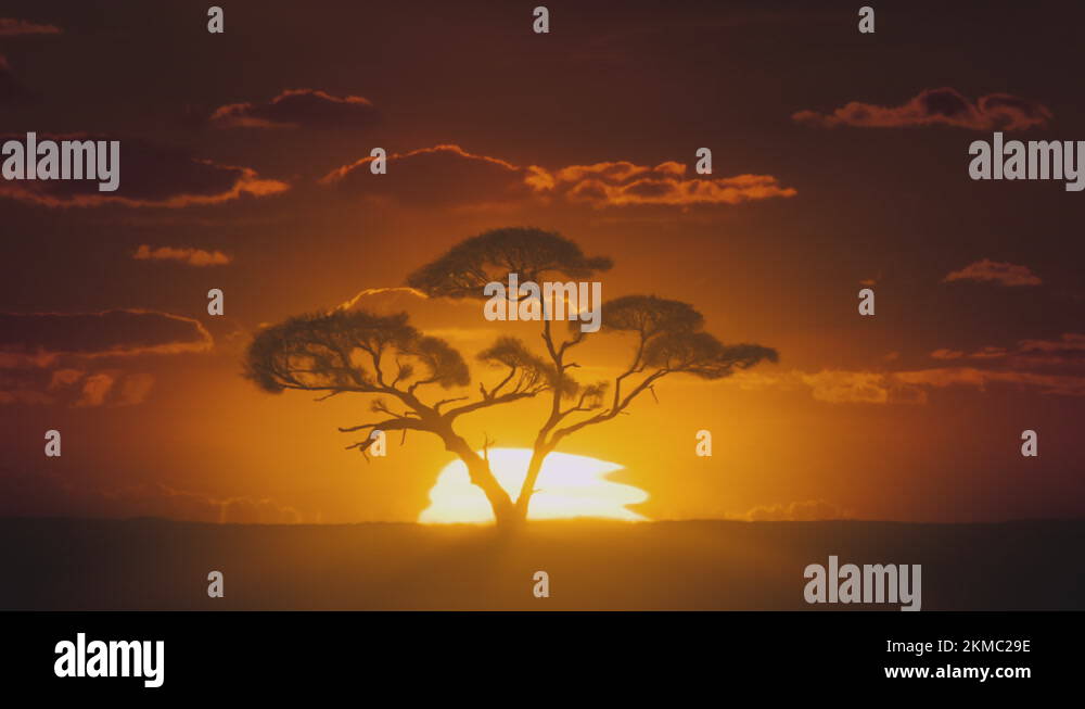 Big african sun Stock Videos & Footage - HD and 4K Video Clips - Alamy