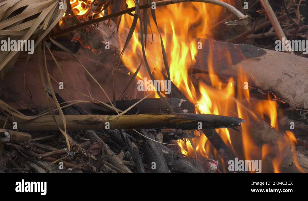 Waste pit Stock Videos & Footage - HD and 4K Video Clips - Alamy