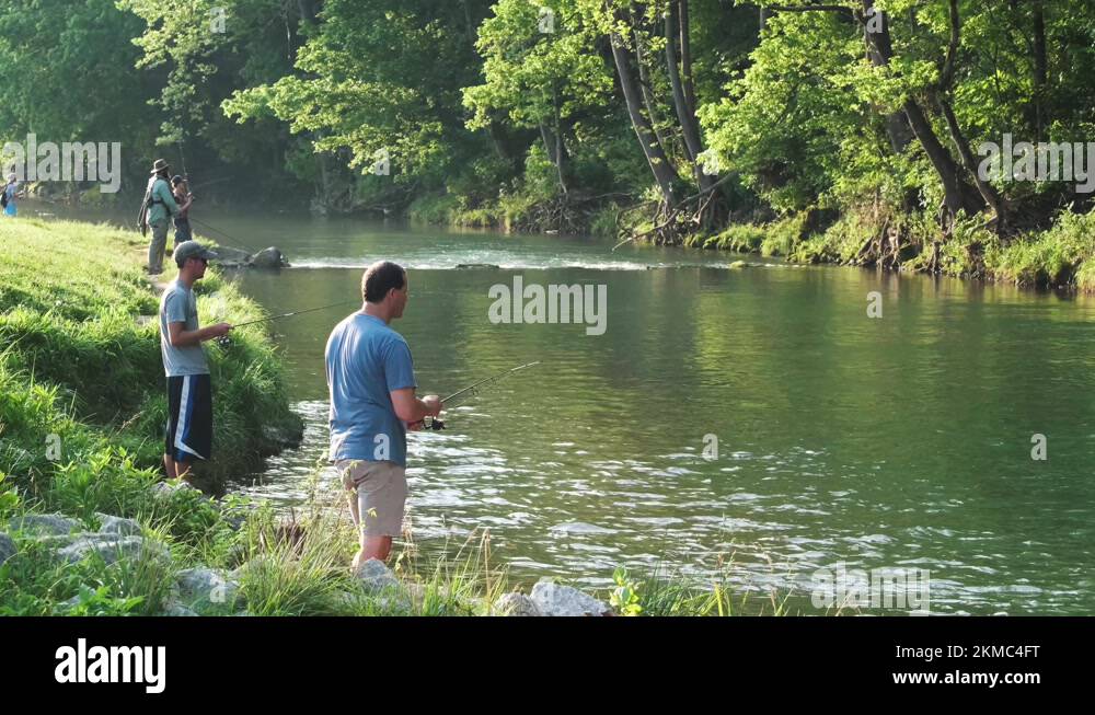 Roaring river state park Stock Videos & Footage - HD and 4K Video Clips ...