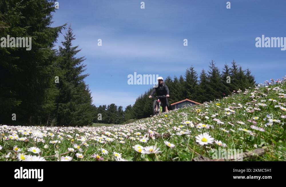 Flower ridge trail Stock Videos & Footage - HD and 4K Video Clips - Alamy