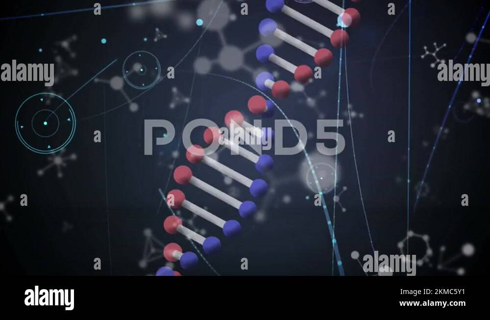 Animation dna network connections molecules Stock Videos & Footage - HD ...