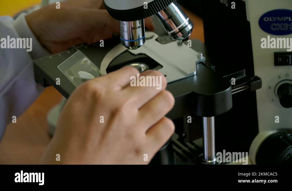 Microscope glass slide Stock Videos & Footage - HD and 4K Video Clips ...
