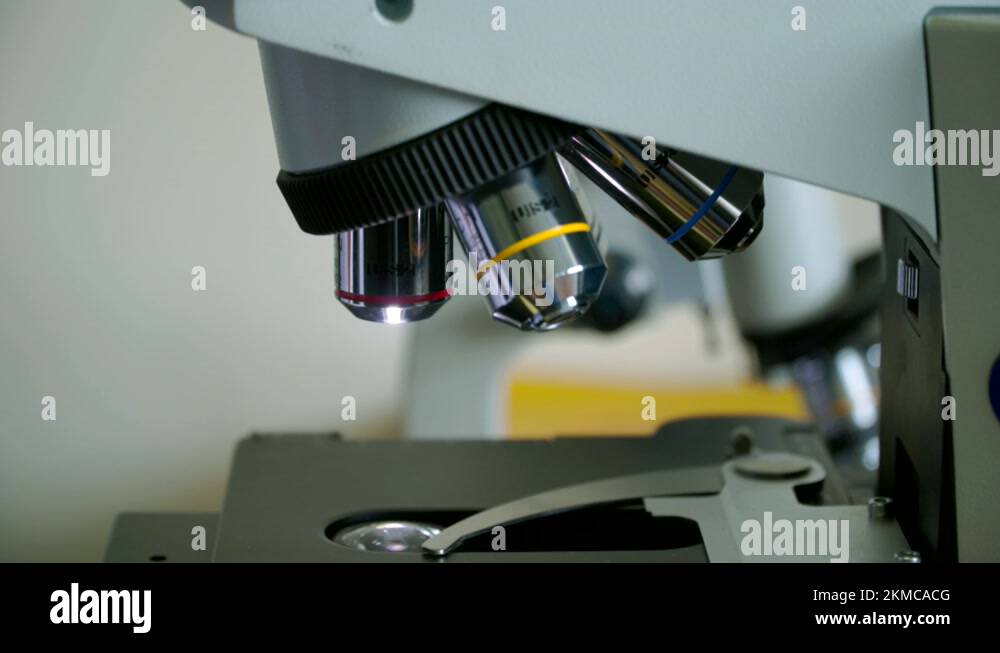 Scientist switching lens of microscope from Laboratory micro science ...