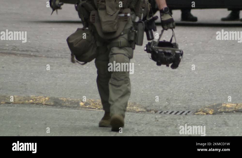 Canine police dogs Stock Videos & Footage - HD and 4K Video Clips - Alamy