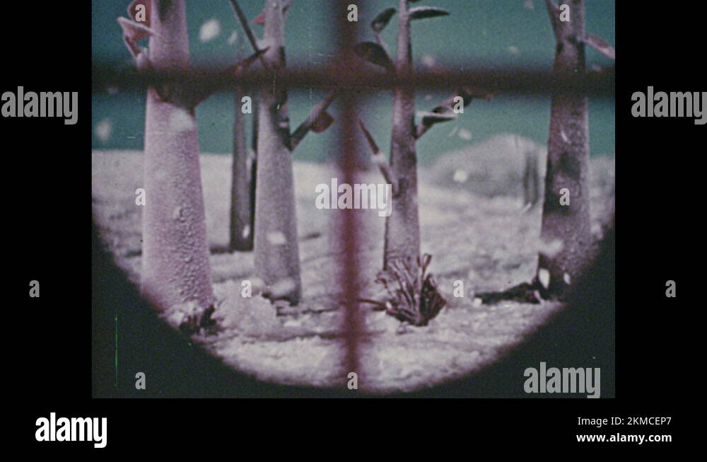 1960s: Stop-motion animation. Snow falls. Footprints in snow ...