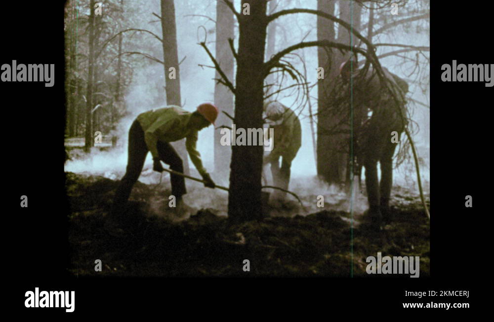 1970s: A forest fire. Firefighters rake the soil and spray water to put ...