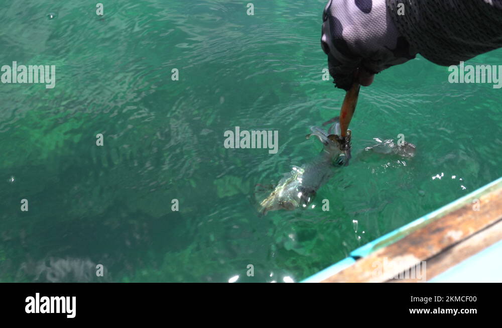 Saltwater spray Stock Videos & Footage - HD and 4K Video Clips - Alamy