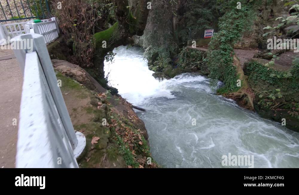 Leaning over railing Stock Videos & Footage - HD and 4K Video Clips - Alamy
