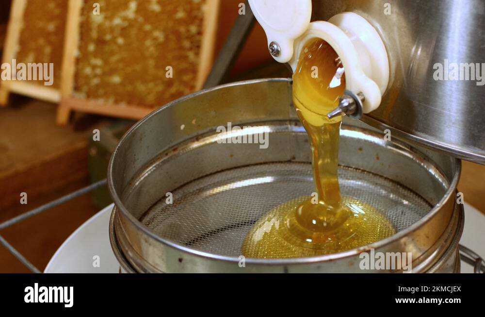 Honey extraction Stock Videos & Footage - HD and 4K Video Clips - Alamy