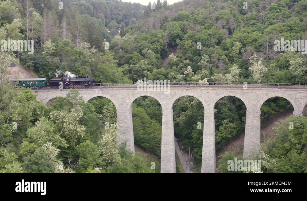 Steam engine train crossing a stone viaduct in a forest valley,zoom ...