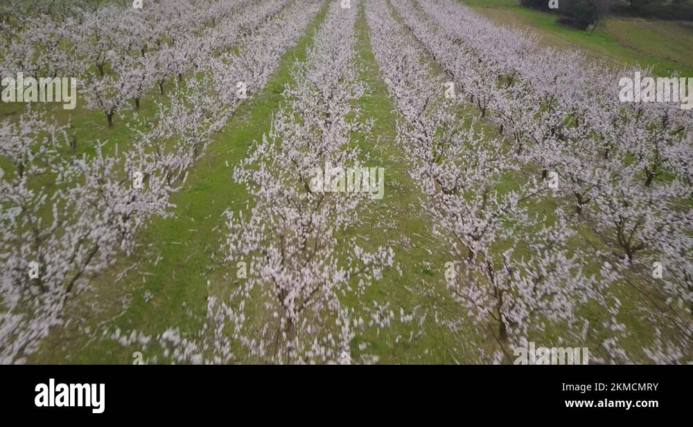 Biological farming Stock Videos & Footage - HD and 4K Video Clips - Alamy