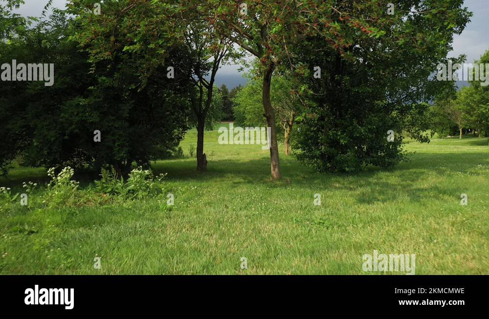 Golf course sign Stock Videos & Footage - HD and 4K Video Clips - Alamy