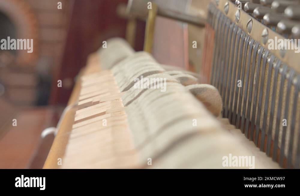 Vertical strings Stock Videos & Footage - HD and 4K Video Clips - Alamy