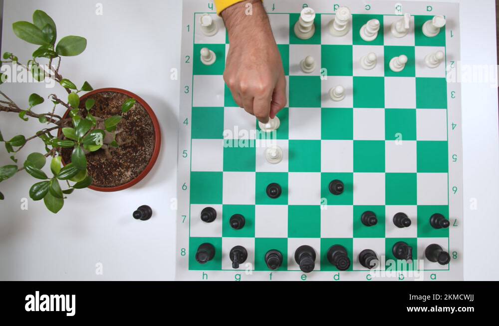 A person hand placing a white horse piece on top of pawn and moving it ...