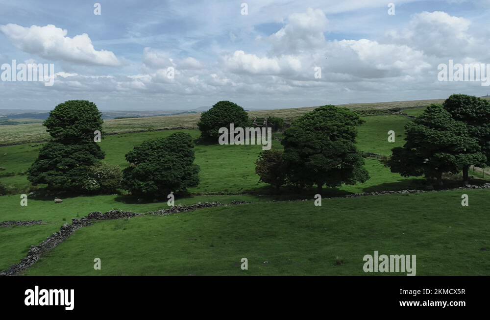 Stone wall paddock Stock Videos & Footage - HD and 4K Video Clips - Alamy