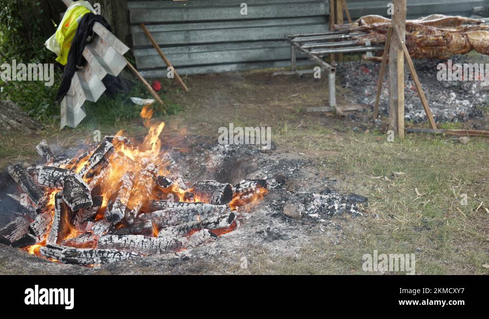 Logs burning in large fire pit as lambs roast over hot coals at ...