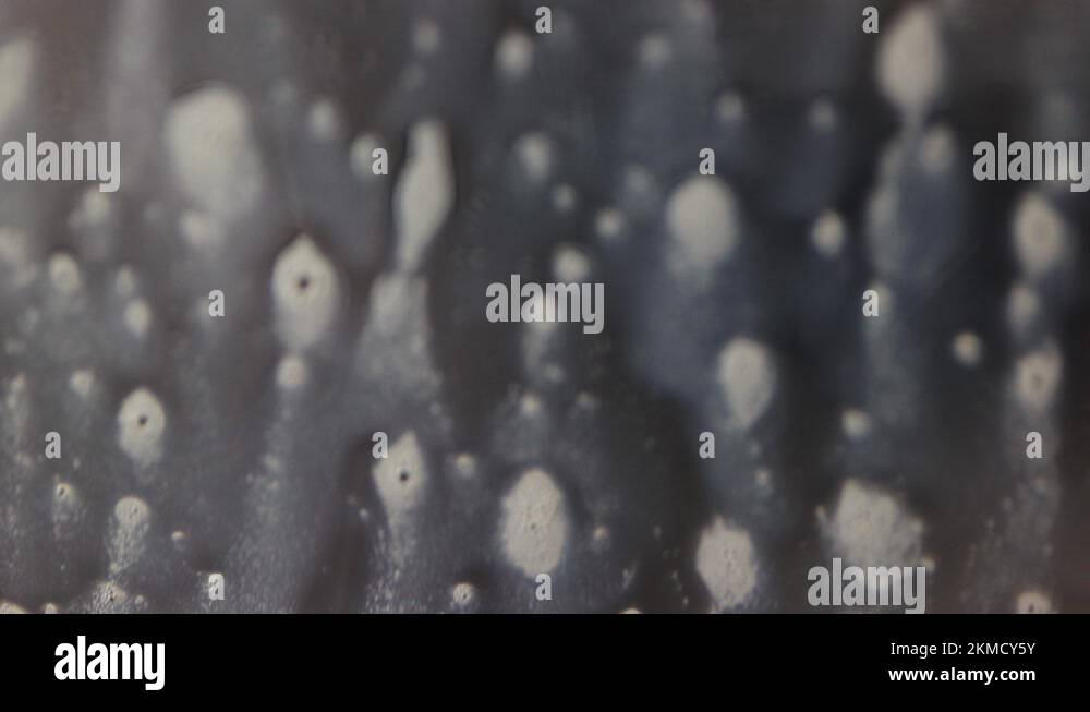 Physical background Stock Videos & Footage - HD and 4K Video Clips - Alamy