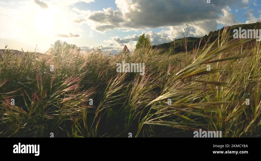 Beautiful outside nature Stock Videos & Footage - HD and 4K Video Clips ...