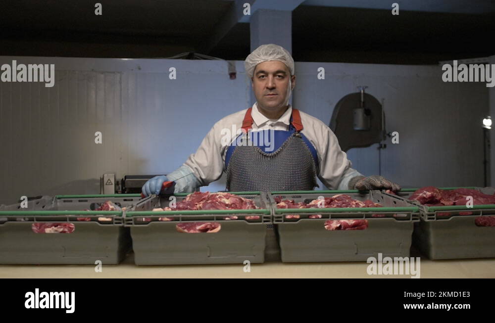 Portrait of adult butcher in white uniform and blue apron in meat ...