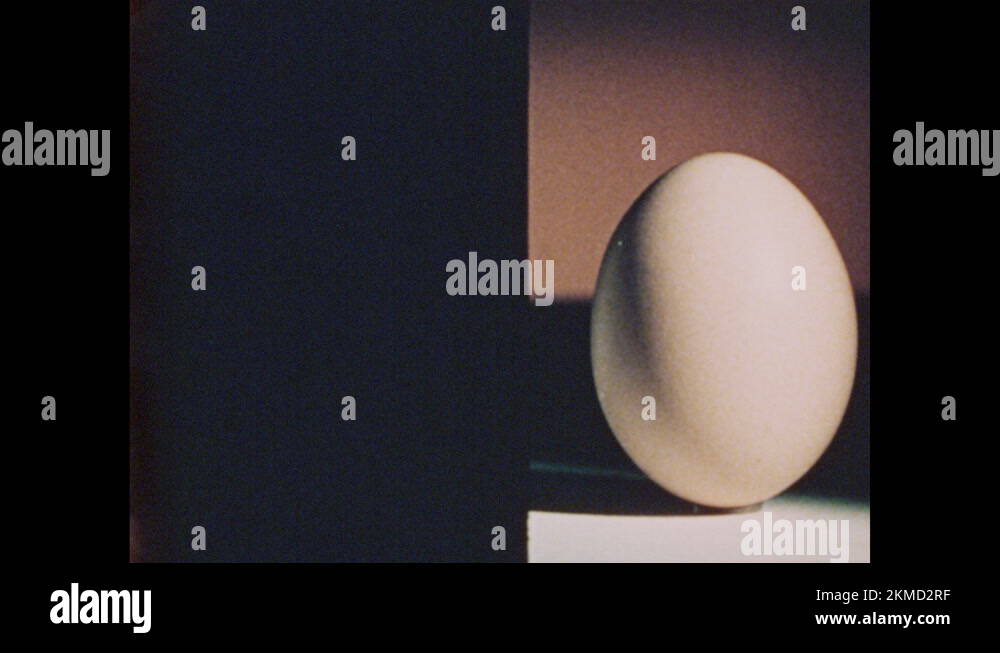 Egg clock Stock Videos & Footage - HD and 4K Video Clips - Alamy