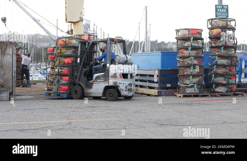Fisherman wharf men workers fishing Stock Videos & Footage - HD and 4K ...