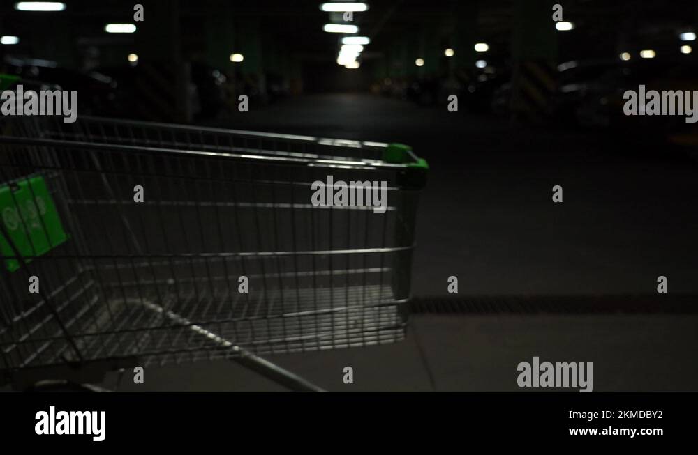 Pulling the cart Stock Videos & Footage - HD and 4K Video Clips - Alamy