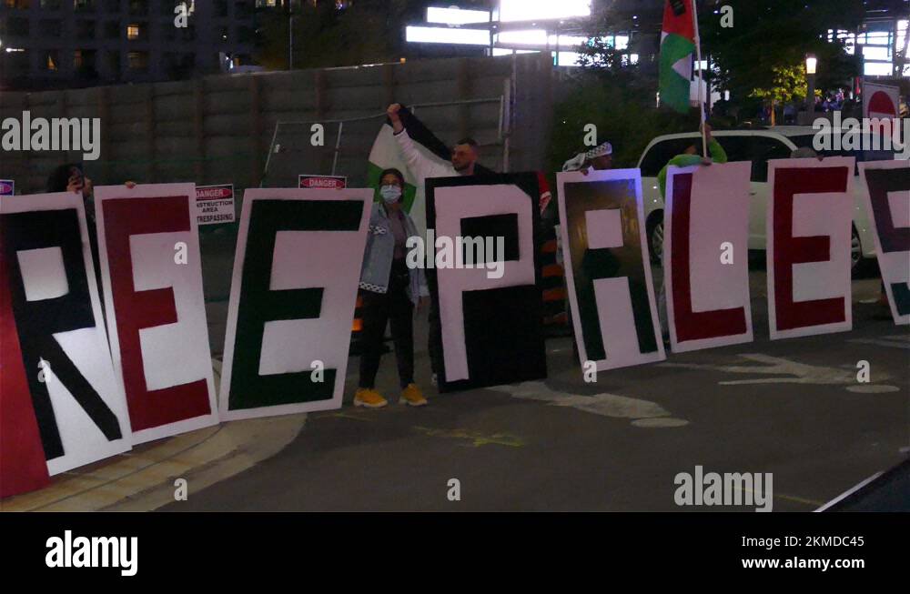 Palestine solidarity movement Stock Videos & Footage - HD and 4K Video ...