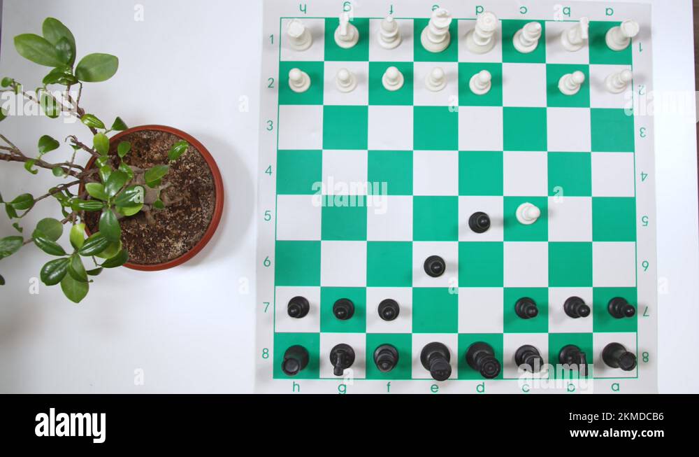 Chess Move. White Pawn Captures Black Pawn One Square Diagonally. top ...