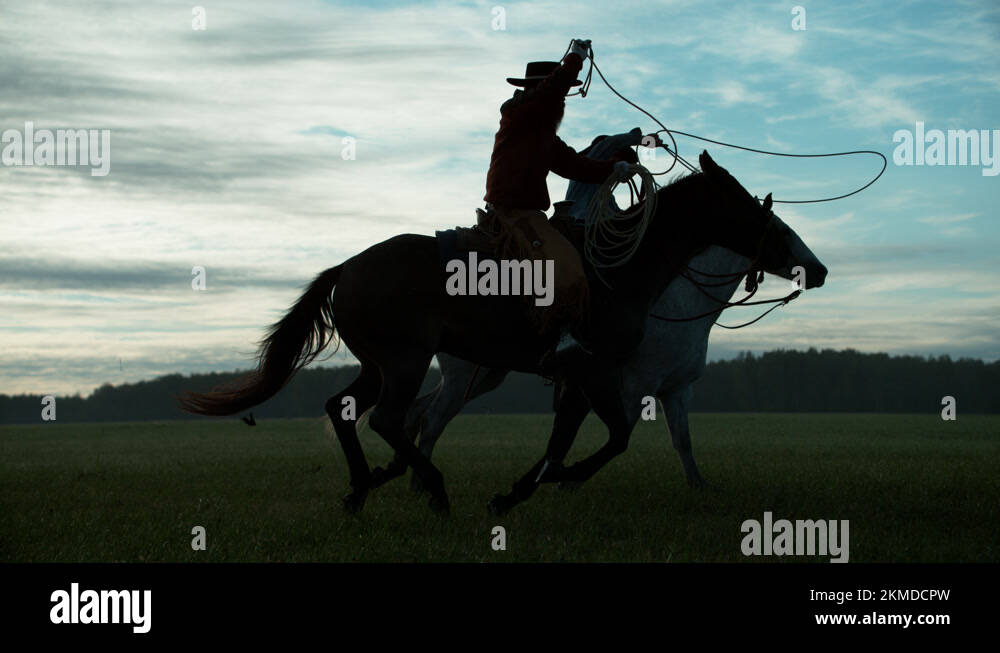 Lassoing horses Stock Videos & Footage - HD and 4K Video Clips - Alamy