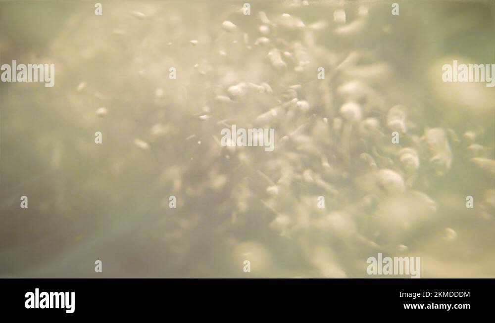 Yellow bubbles in the water. Close up - bubbles in liquid. Bubbles in ...