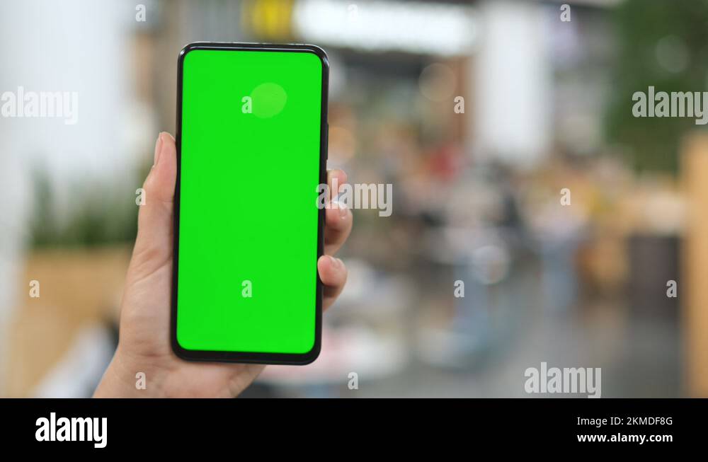 Mall. Shopping center. Back view of brunette holding chroma key green ...