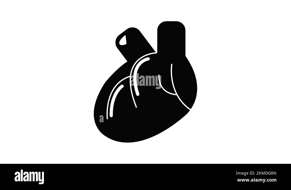 Heart organ illustration Stock Videos & Footage - HD and 4K Video Clips ...